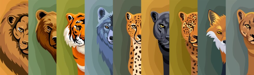 Aninmal Fun Facts for Kids – The Most Popular Facts 2026 Edition | Who ...